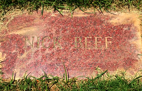 Fascination with Texas goes way beyond exciting racing